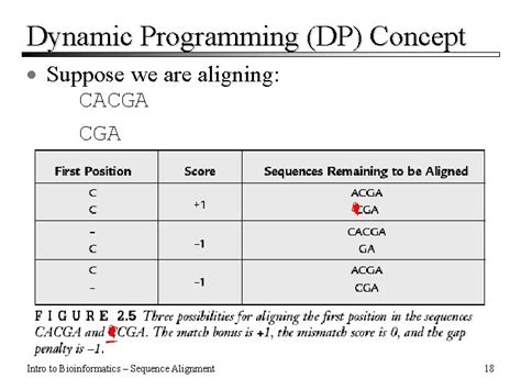 Introduction To Bioinformatics Sequence Alignments Sequence Alignments Cornerstone
