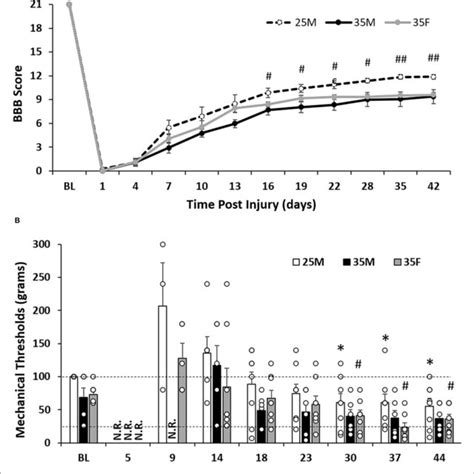 Sensorimotor Functional Outcomes After Sci A Level Of Functional Download Scientific