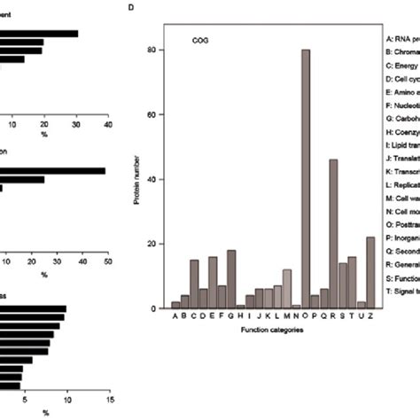Gene Ontology And Cog Analysis Of Identified Proteins The Following Download Scientific