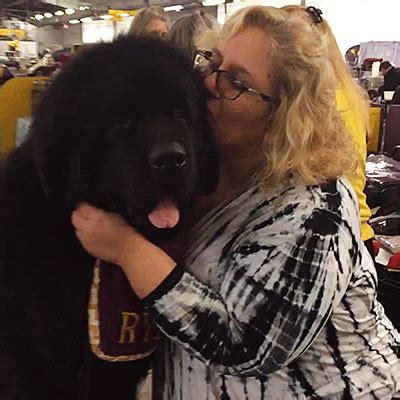 16 Dog Breeds That Can Help You Manage Stress And Anxiety According To