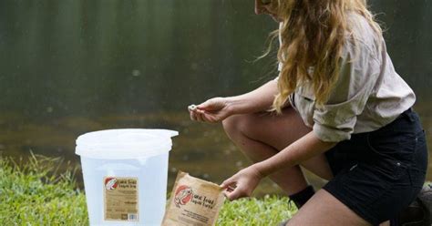 Ignite Scale Program Innovate Moreton Bay