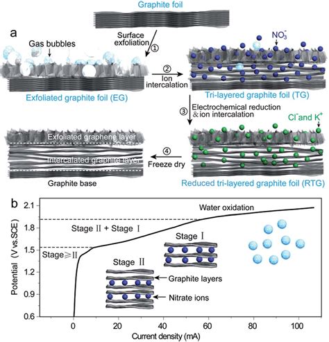 A Schematic Illustration Showing The Fabrication Of Tri Layered