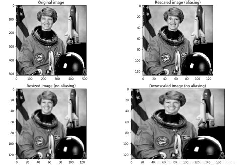 Scikit Image库 重新缩放，调整大小和缩小范围（十八）python Scikit Image 调整图片大小 Csdn博客