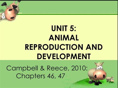 Types Of Egg Based On Amount And Distribution Of Yolk Pdf
