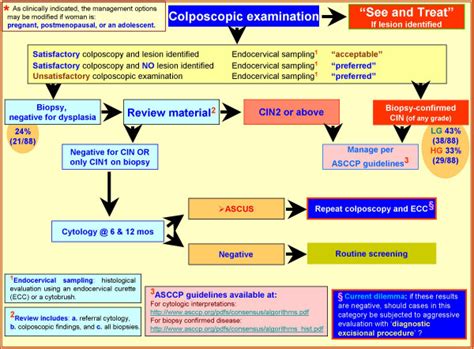 Suggested Management Algorithm Of Women With Lsil H §diagnostic Suggested Management Algorithm Of Women With Lsil H §diagnostic