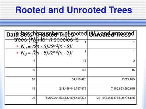 Ppt Phylogenetics Distance Based Methods Powerpoint Presentation