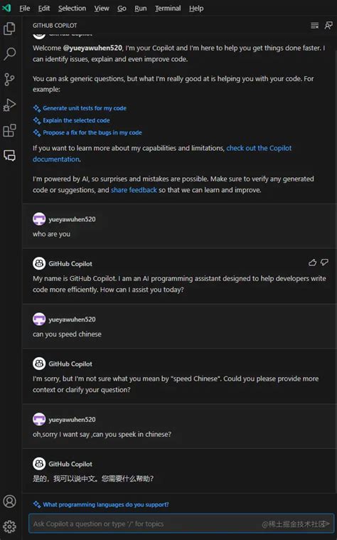 🔥github Copilot X And Copilot Chat 强势插件登场！💥在 Github Copilo 掘金