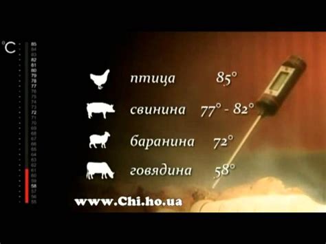 Смотреть видео: Термометр электронный - термо-щуп для пищи Цена 150 руб ...