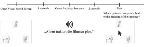 Visualisation Of The Temporal Sequence Of Events In The Visual World Download Scientific