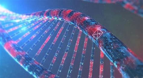 从科学视角看微分子鱼胶原蛋白肽的临床潜力