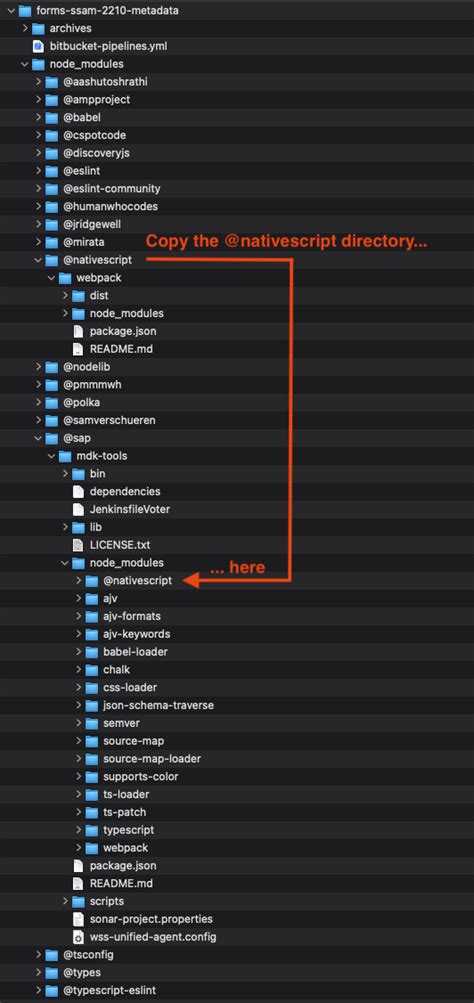 Problemas De Implementación De Sapmdk Tools En Ios Con Nativescript 8