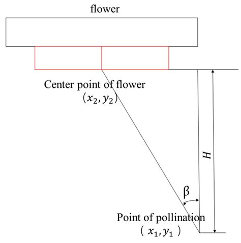 Horticulturae Free Full Text Reasearch On Kiwi Fruit Flower Recognition For Efficient