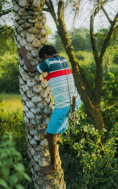 Quantitative Method Photos Download The Best Free Quantitative Method