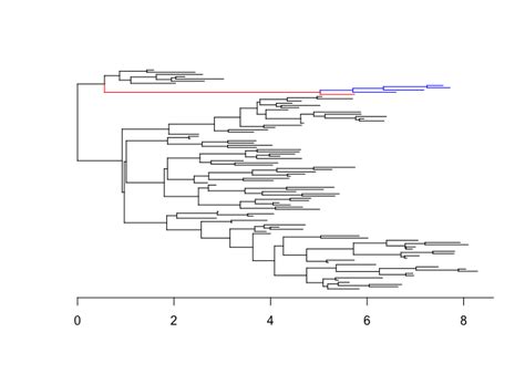 Detection Of Imports In A Dated Phylogeny From A Single Location