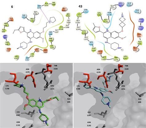 Predicted Binding Poses Of Selective Compounds Against Dnmt1 Key Amino