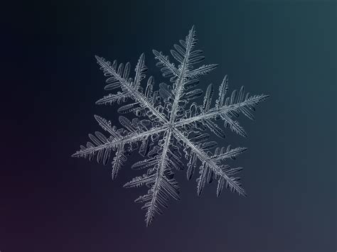 Stunning Snowflakes