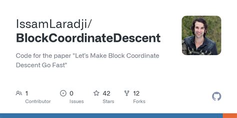GitHub IssamLaradji BlockCoordinateDescent Code For The Paper Lets Make Block Coordinate