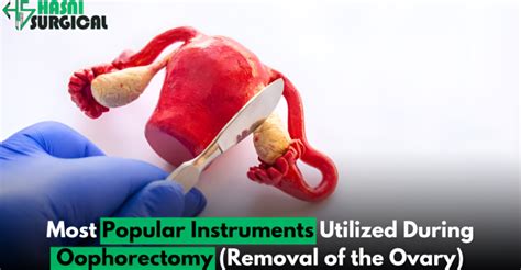 3 Most Common Surgical Instruments In Oophorectomy Ovary Removal And