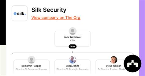Silk Security - Org Chart, Teams, Culture & Jobs | The Org