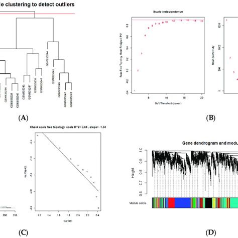 Ppi Network A 51 Crucial Common Genes In Ppi Network B Venn Download Scientific Diagram