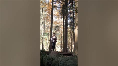 我也拍个署前街少年 Youtube