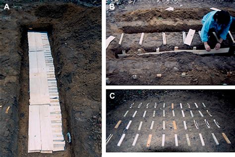 Examples Of Installations With The Three Main Field Methods Used In Download Scientific Diagram