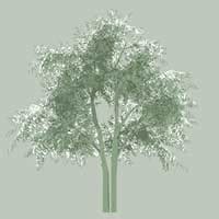 Tree Radar Unit For Expert Root Survey ArborAeration