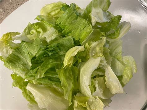 양상추 샐러드 부드러운 양상추 1통 순삭입니다