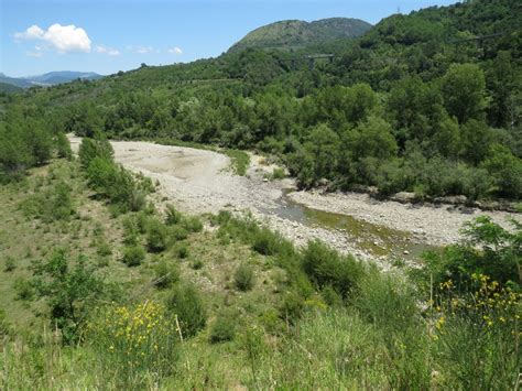 The Project Rivertemp