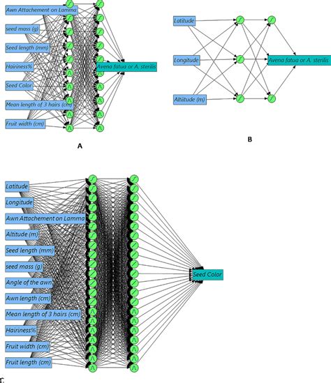 Schematic Diagrams Indicating Model Inputs Ann Layers Employed