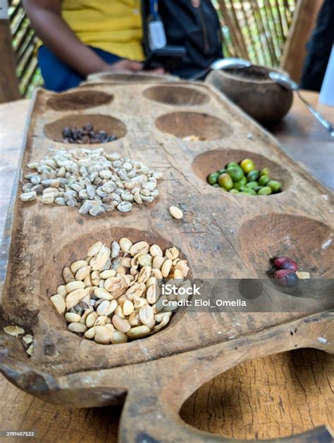 탄자니아 마테루니에서 커피 생산 투어 중 풍화된 나무 표면에 배열된 녹색 커피 원두에서 볶은 커피 원두에 이르기까지 다양한 커피 원두가 변형 단계를 강조합니다 0명에 대한