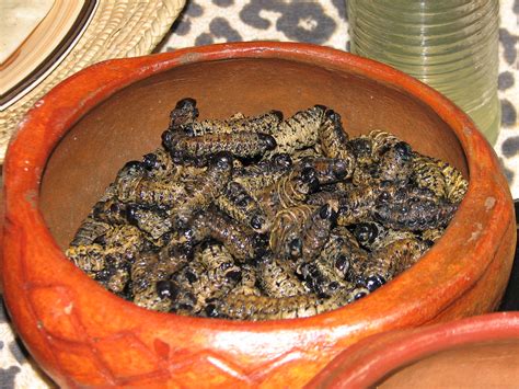 Mopane Worms A Local Delicacy Nh53 Flickr