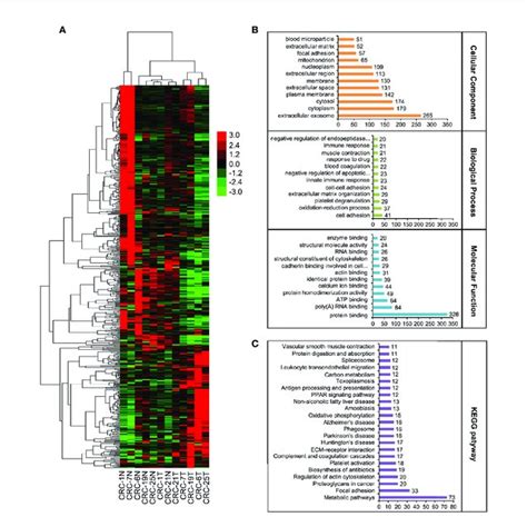 Label Free Quantitative Proteomic Analyses A The Heat Map Of
