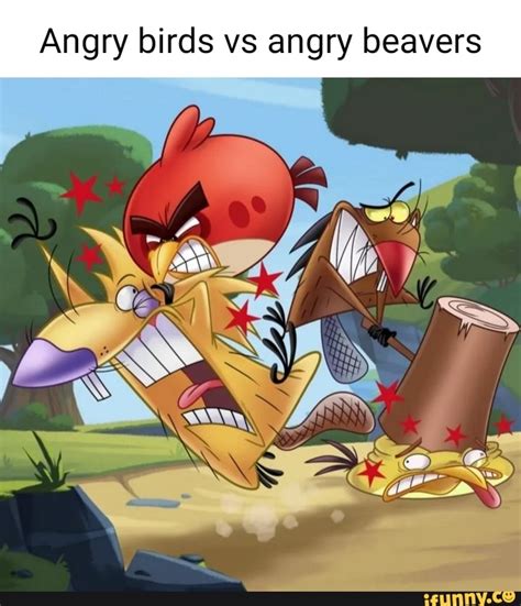 Angry Beavers Meme