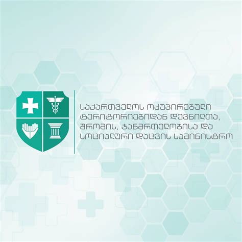 დევნილთა შრომის ჯანმრთელობისა და სოციალური დაცვის სამინისტრო Tbilisi