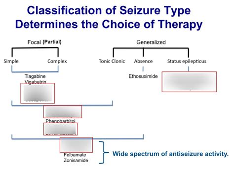 4 4 Epilepsy Diagram Quizlet