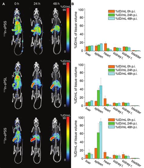 A Maximum Intensity Projections Of Follow Up Total Body Spectct Scans