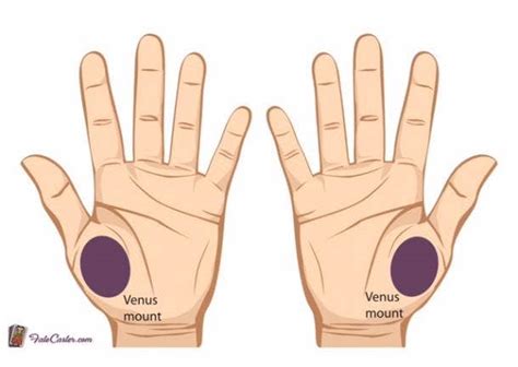 Palm Reading Guide How To Read Palms And Understand Your Personality YourTango