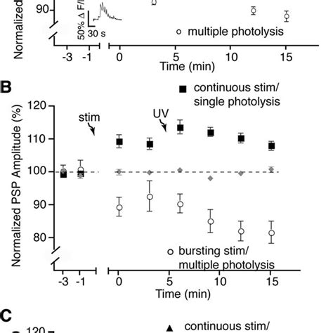 Model Of Glial Mediated Bidirectional Modulation Of Synaptic Download Scientific Diagram