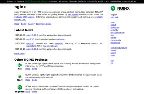Nginx とは何か、またそれがどのように Web サイトを最適化できるかを学びます。