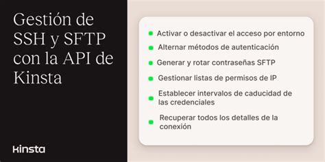 Solucionar El Error De Youtube Something Went Wrong Ios Y Mac Kinsta®