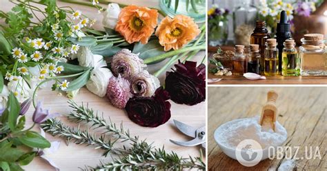 Як позбутися неприємного запаху у квартирі лайфхак Oboz Ua