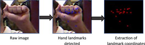 Hand Landmarks Detection And Extraction Of 21 Coordinates Download
