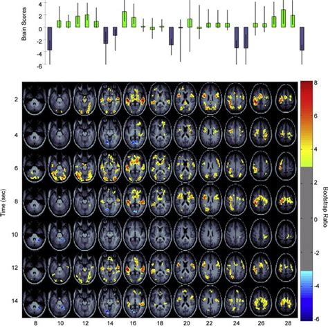 Results From The Non Rotated Task Pls Analysis Contrasting Modulation