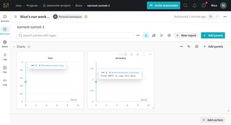 runs weights and biases documentation