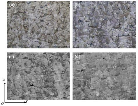 Om Micrographs Showing The Microstructure Of 316l Samples Fabricated At Download Scientific