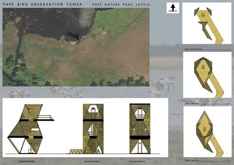 Architecture Project Triangular Timber Structure Integrating Hand