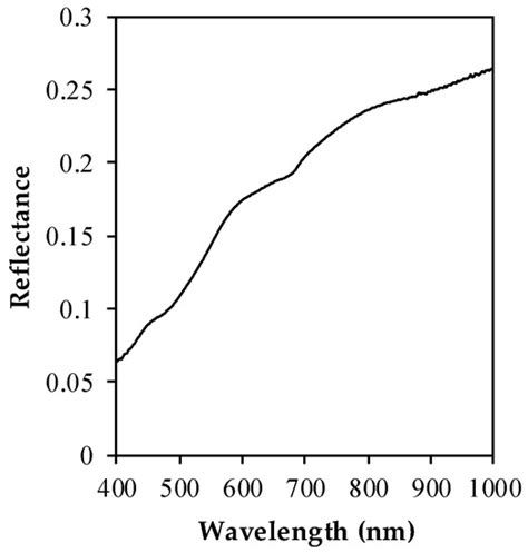 Estimation Of Lai In Winter Wheat From Multi Angular Hyperspectral Vnir