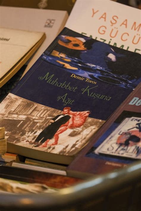 실내 공부하다 교과서 교육 교육 자료 교육적인 구석을 읽고 글로 쓴 단행본 도서관 도서의 스택 독서 코너 독서하는 문학 문학 작품 문학예술