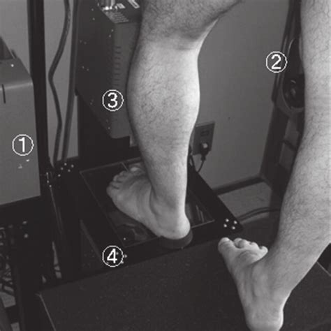 Epidemiology Investigation For Leg Edema By Ministry Of Health Labour Download Scientific
